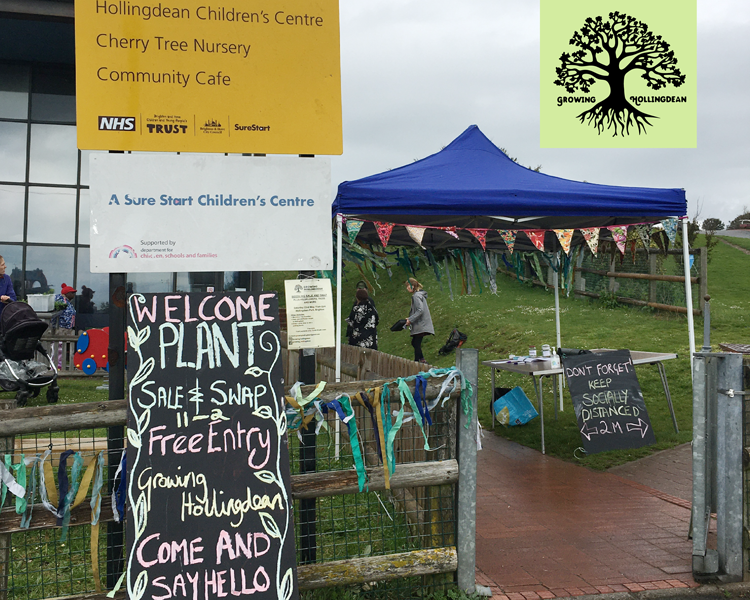 Growing Hollingdean – Can you help us reach more people this summer ...