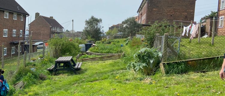 Two Trees Community Garden, Hollingdean, Brighton – Growing Hollingdean