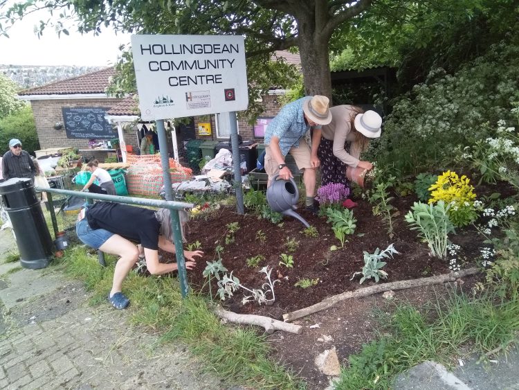 Community Gardens – Growing Hollingdean