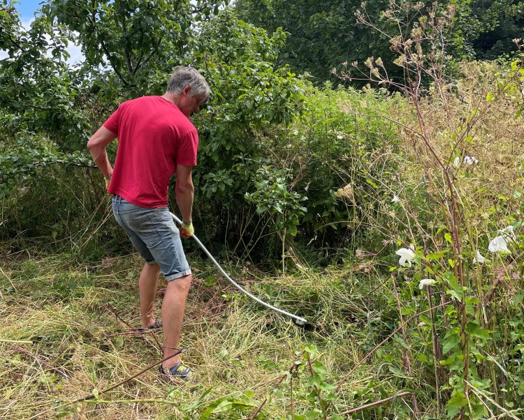 Growing Hollingdean Tree Guardians learnt to scythe the long grass in ...