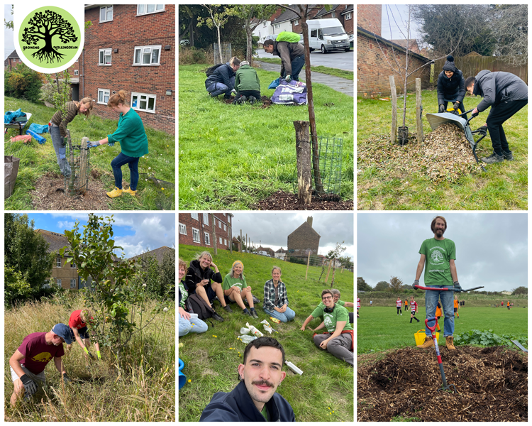 Tree Guardians – Growing Hollingdean