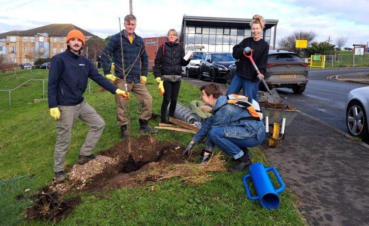 Tree Guardian volunteers get together for additional tree planting ...