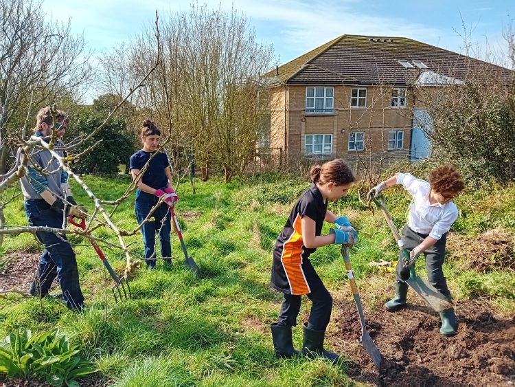 Sunday 7th April 2024, 12-2 pm, building the dead hedge, digging a pond ...