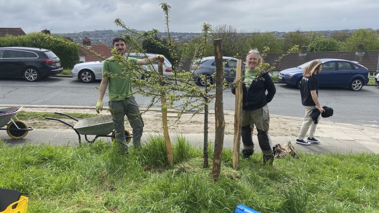 Tree Guardian volunteers seen on Davey Drive and Horton Road corner ...