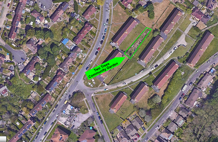 Community Gardens – Growing Hollingdean