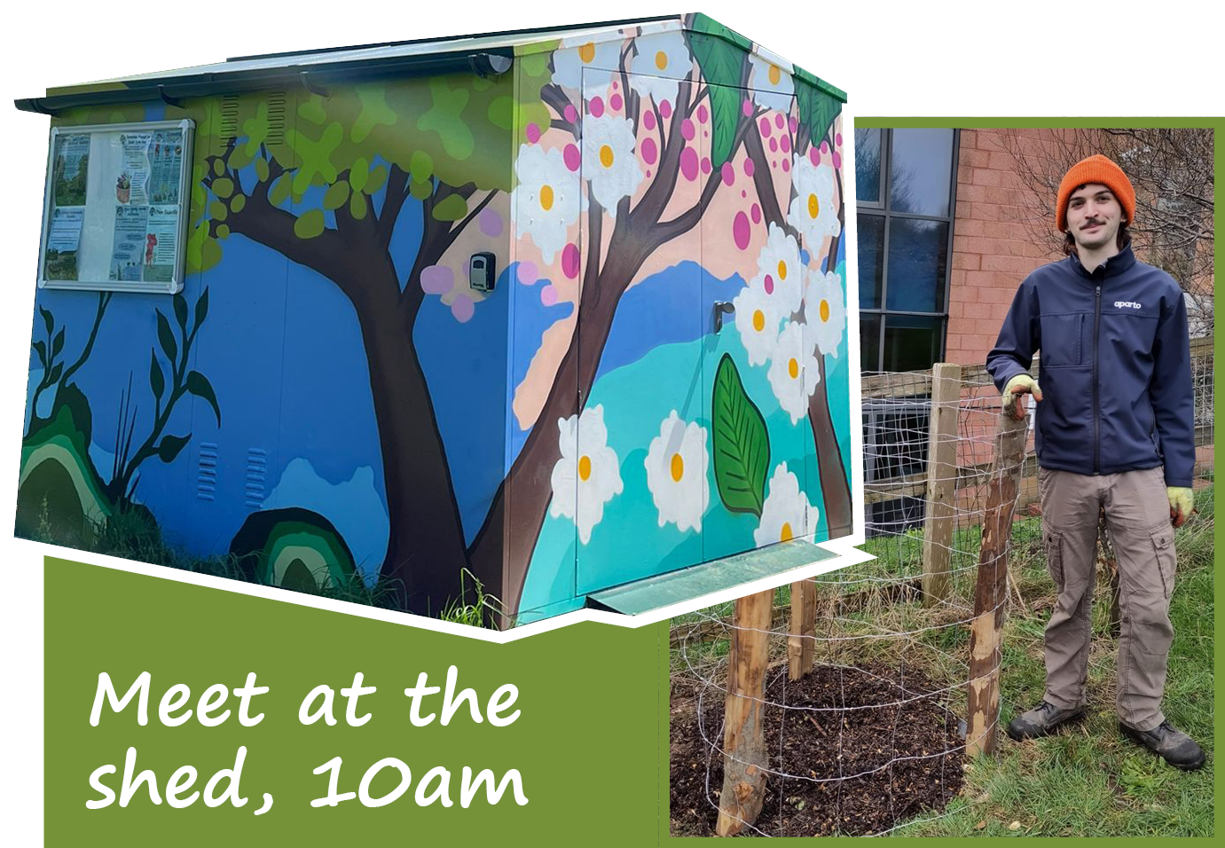 Tree Guardians – Growing Hollingdean