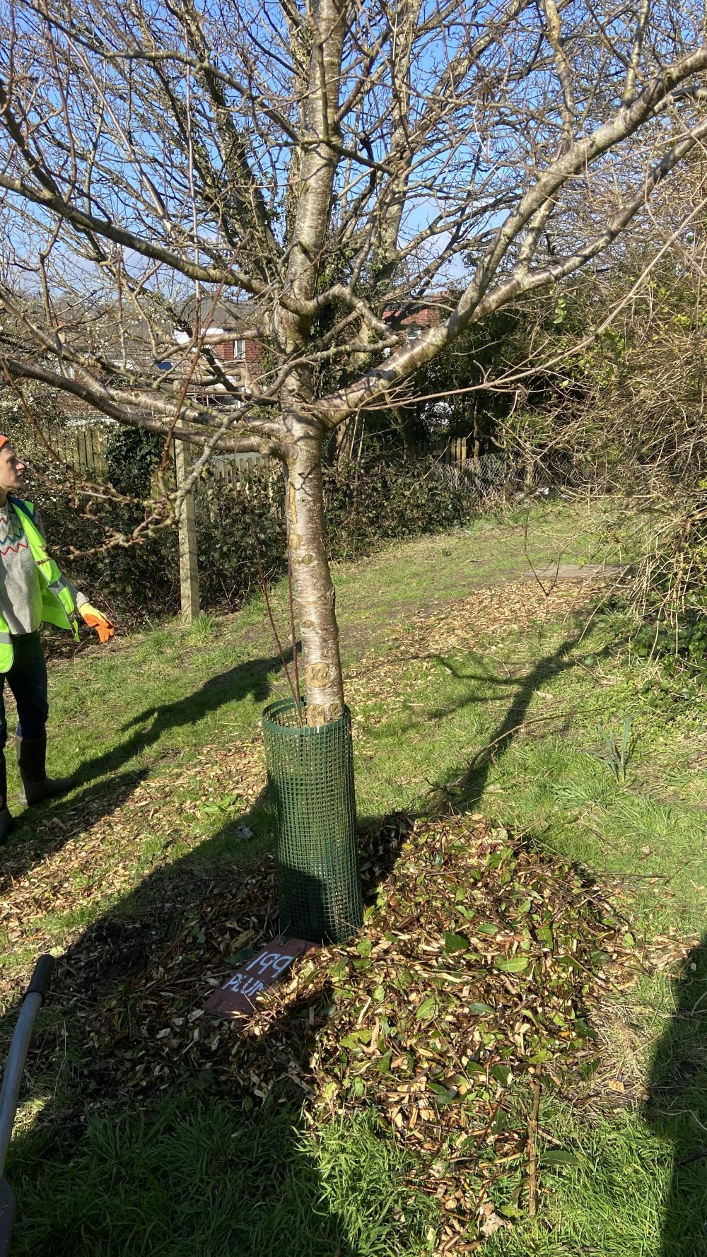 Tree Guardians are meeting this Sunday, 6th April 2025 10am-12noon ...